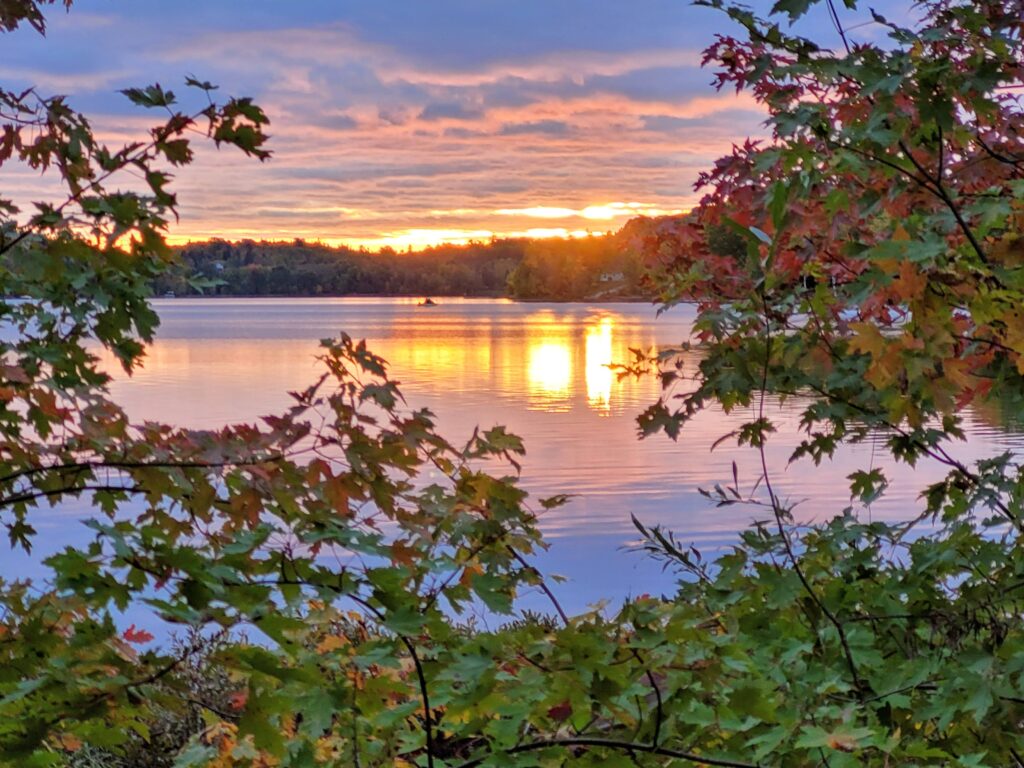 Commanda Lake Modern Log Cottages – Just another WordPress site